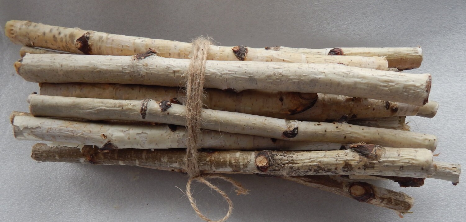 30 Birch Sticks. Wood Crafts. Wooden Sticks. Birch Wood - Etsy