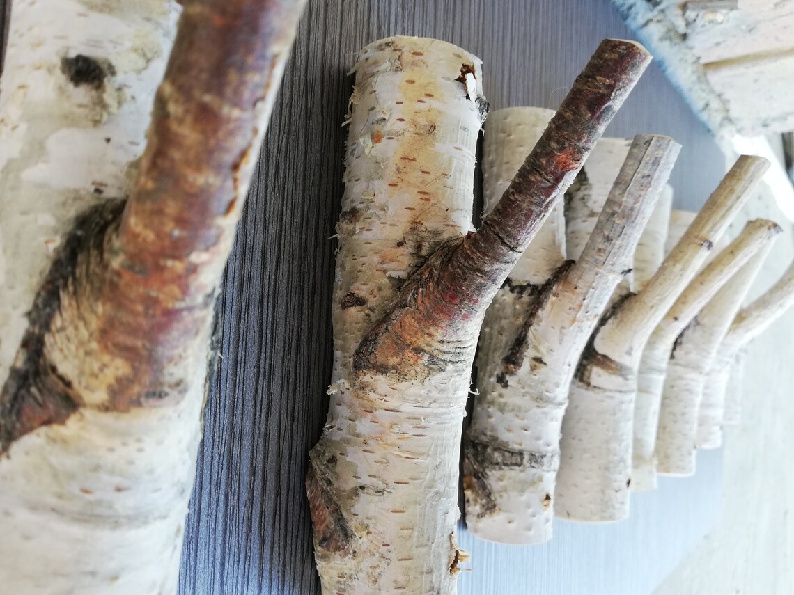 Tree Branch Hooks. Wood Hooks. Birch Hooks. Backpack Coat - Etsy