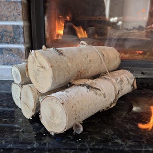 5 Birch Logs White Wood Logs Fireplace Logs Craft Birch White Birch ...