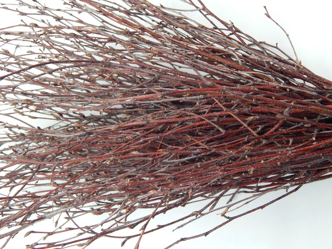 Birch Twigs 150 Pcs.,birch Twigs Bundle,woodland Wedding,birch Branch ...
