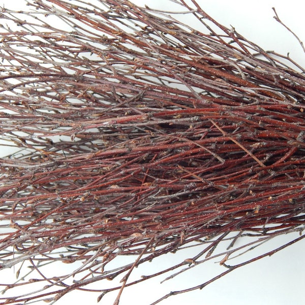 Long Birch Twigs - Etsy