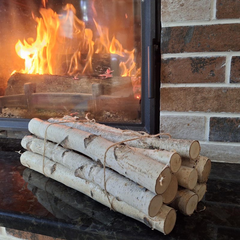 Birch Logs - Etsy