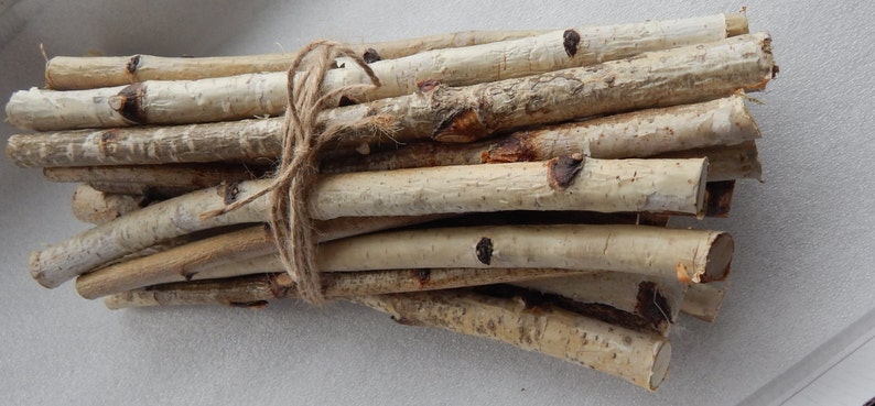 30 Wood Sticks Natural Wood Sticks Craft Sticks Wood Crafts Wooden ...