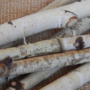 20 White Birch Sticks. Wood Logs. Wedding Birch Decor. White Craft Wood ...