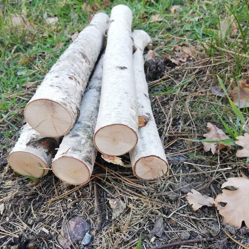 5 Birch Logs White Wood Logs Fireplace Logs Craft Birch White - Etsy