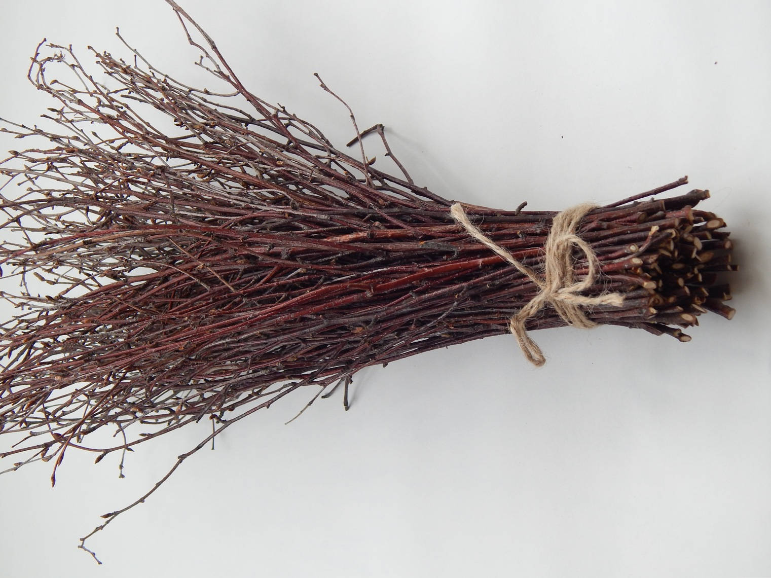 Birch Twigs 150 Pcs.birch Twigs Bundlewoodland Weddingbirch - Etsy