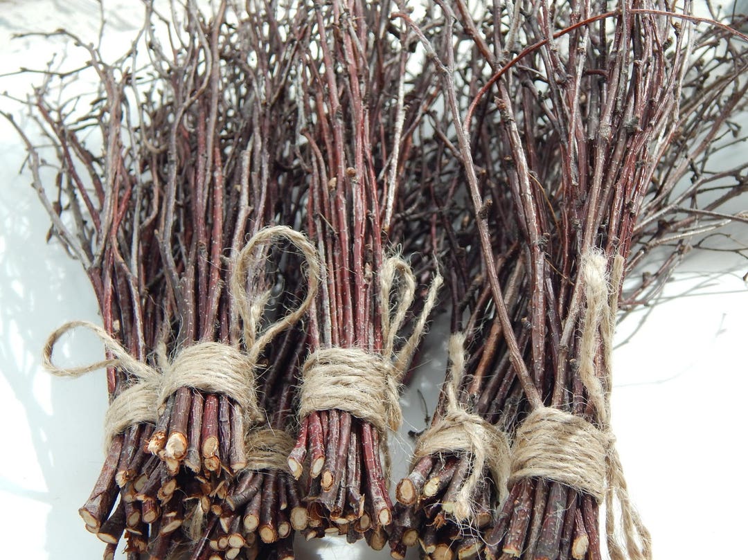 Birch Branches 150 Pcs, Natural Branches, Rustic Home Decor, Birch ...