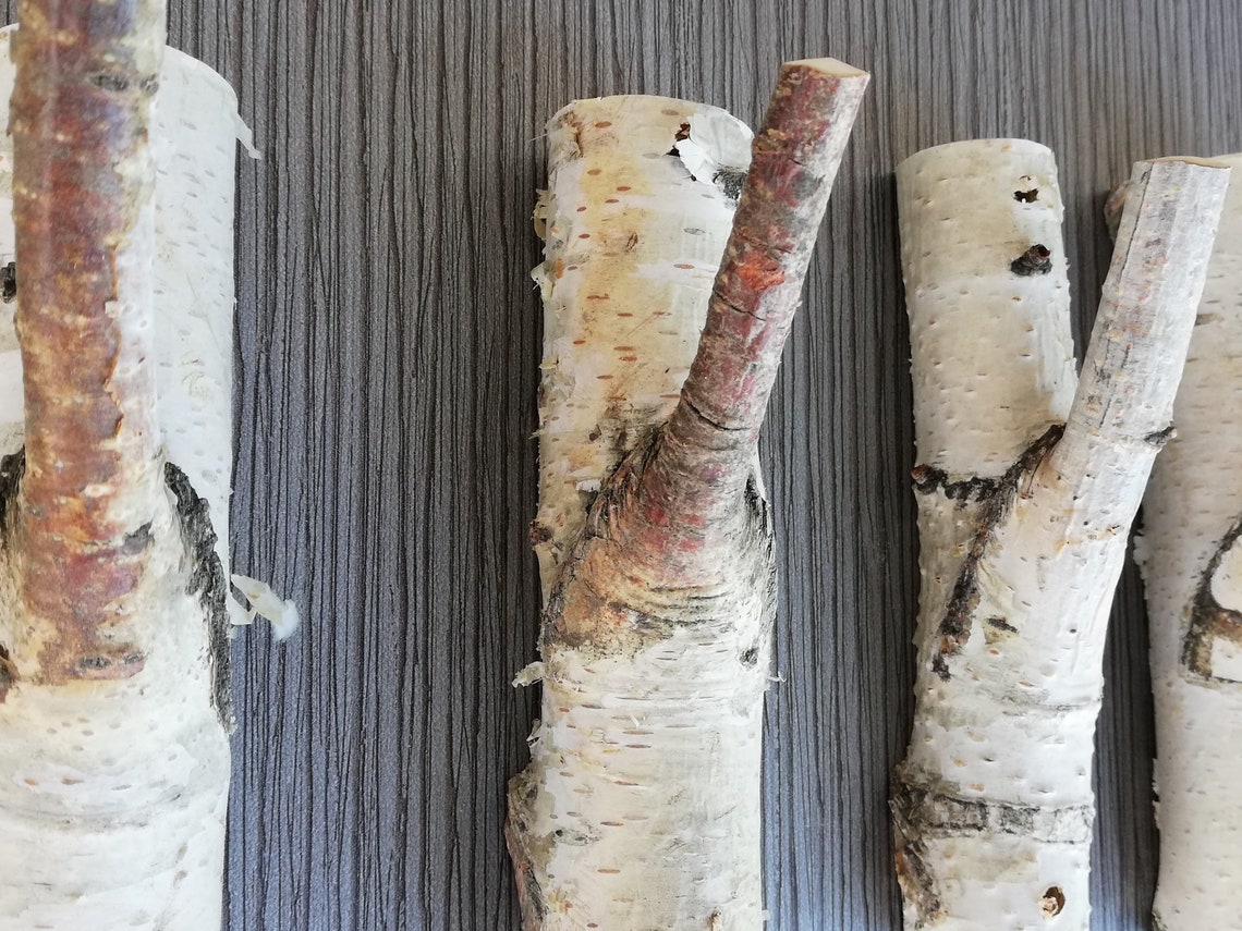 Coat Hooks. Wood Hooks. Tree Branch Hooks. Birch Hooks. Backpack Coat ...