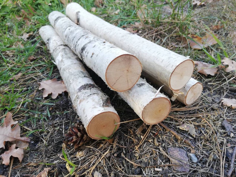5 Birch logs White Wood logs Fireplace logs Craft birch White | Etsy