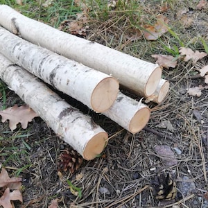 5 Birch Logs White Wood Logs Fireplace Logs Craft Birch White Birch ...