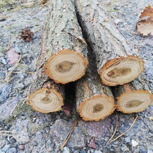 Log Furniture - Etsy