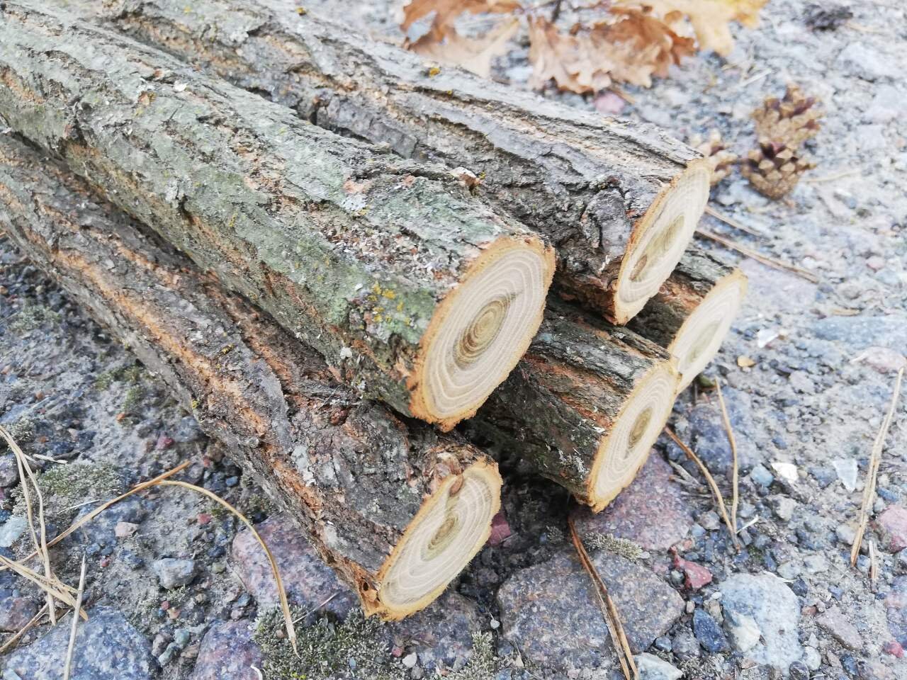5 Wood Logs Log With Bark Rustic Log Decor Log Decor Fireplace | Etsy UK