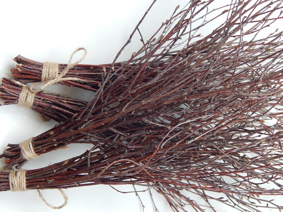 SALE Birch Branches 100 Pcs. Wood Twigswoodland - Etsy