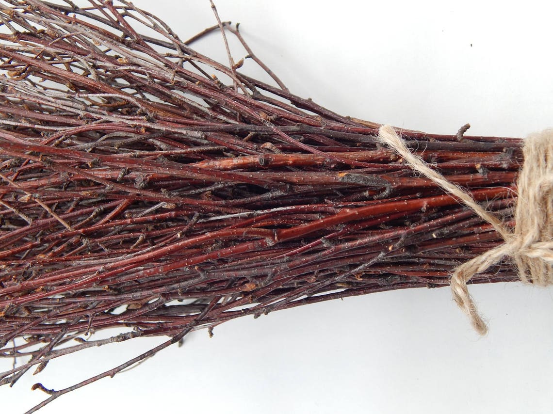 Birch Twigs 150 Pcs.birch Twigs Bundlewoodland Weddingbirch - Etsy