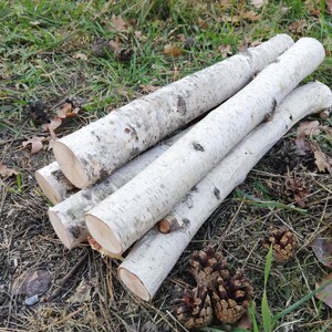 5 Birch Logs White Wood Logs Fireplace Logs Craft Birch White Birch ...