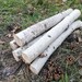 5 Birch Logs White Wood Logs Fireplace Logs Craft Birch White Birch ...