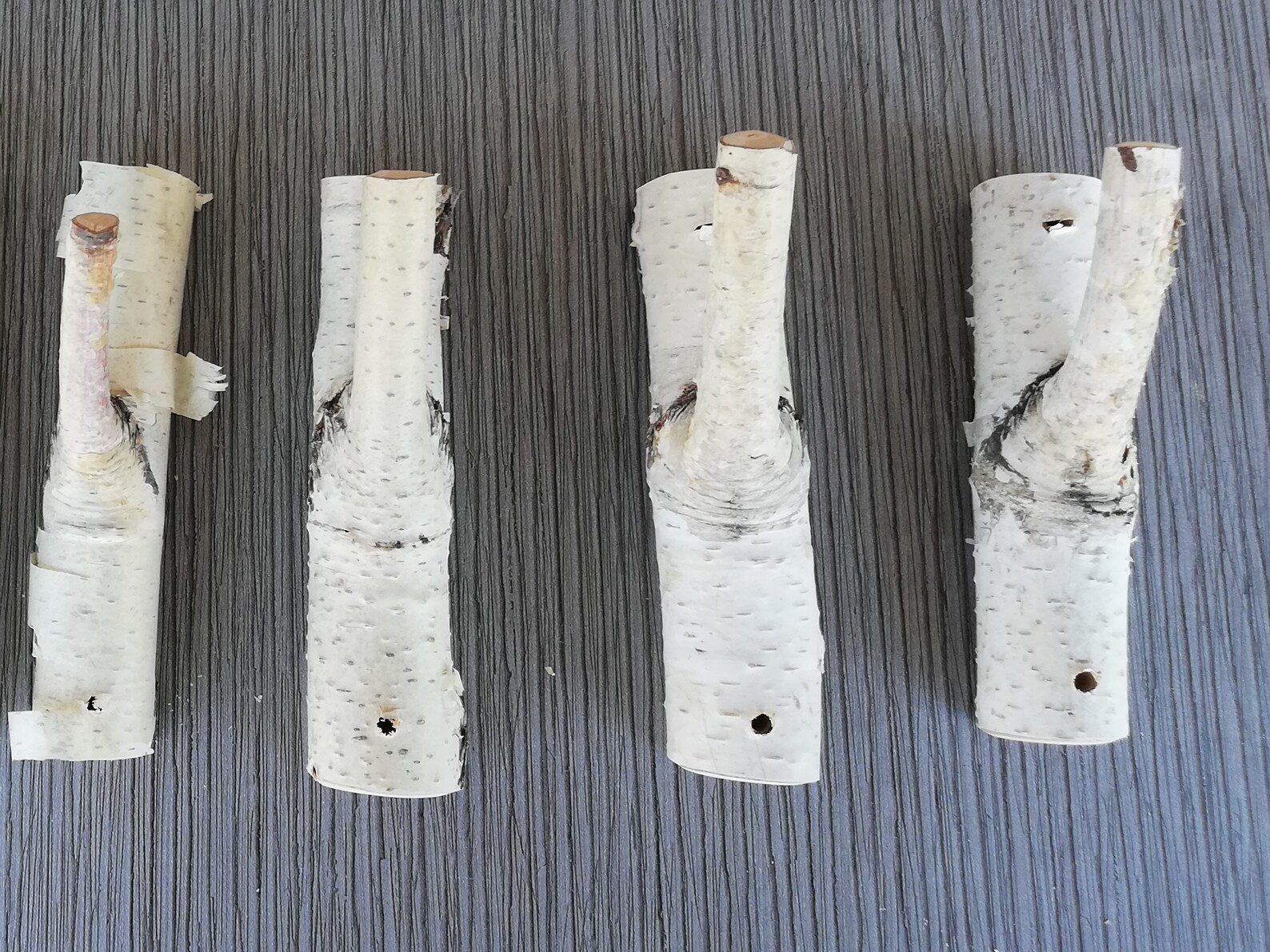 Coat Hooks. Wood Hooks. Tree Branch Hooks. Birch Hooks. - Etsy UK