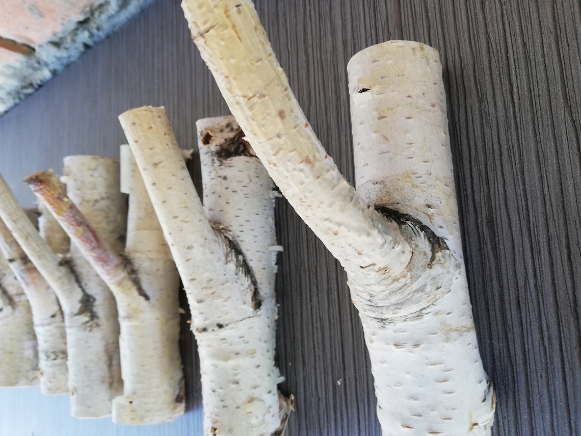 Tree Branch Hooks. Wood Hooks. Birch Hooks. Backpack Coat - Etsy