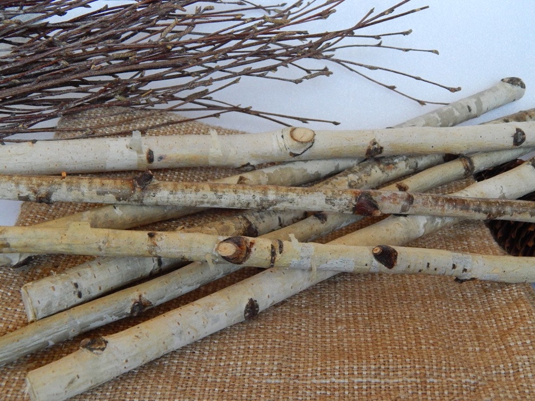 Wood Sticks White Birch Sticks Wood Logs Wedding Birch Decor. White ...