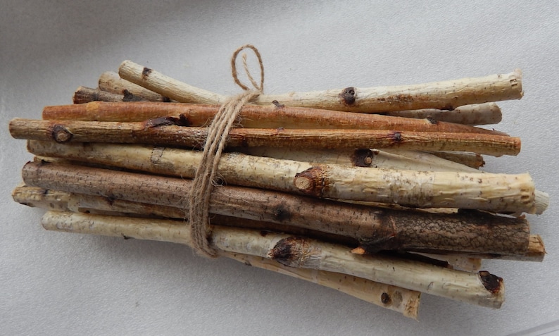 30 Wood Sticks Natural Wood Sticks Craft Sticks Wood Crafts - Etsy