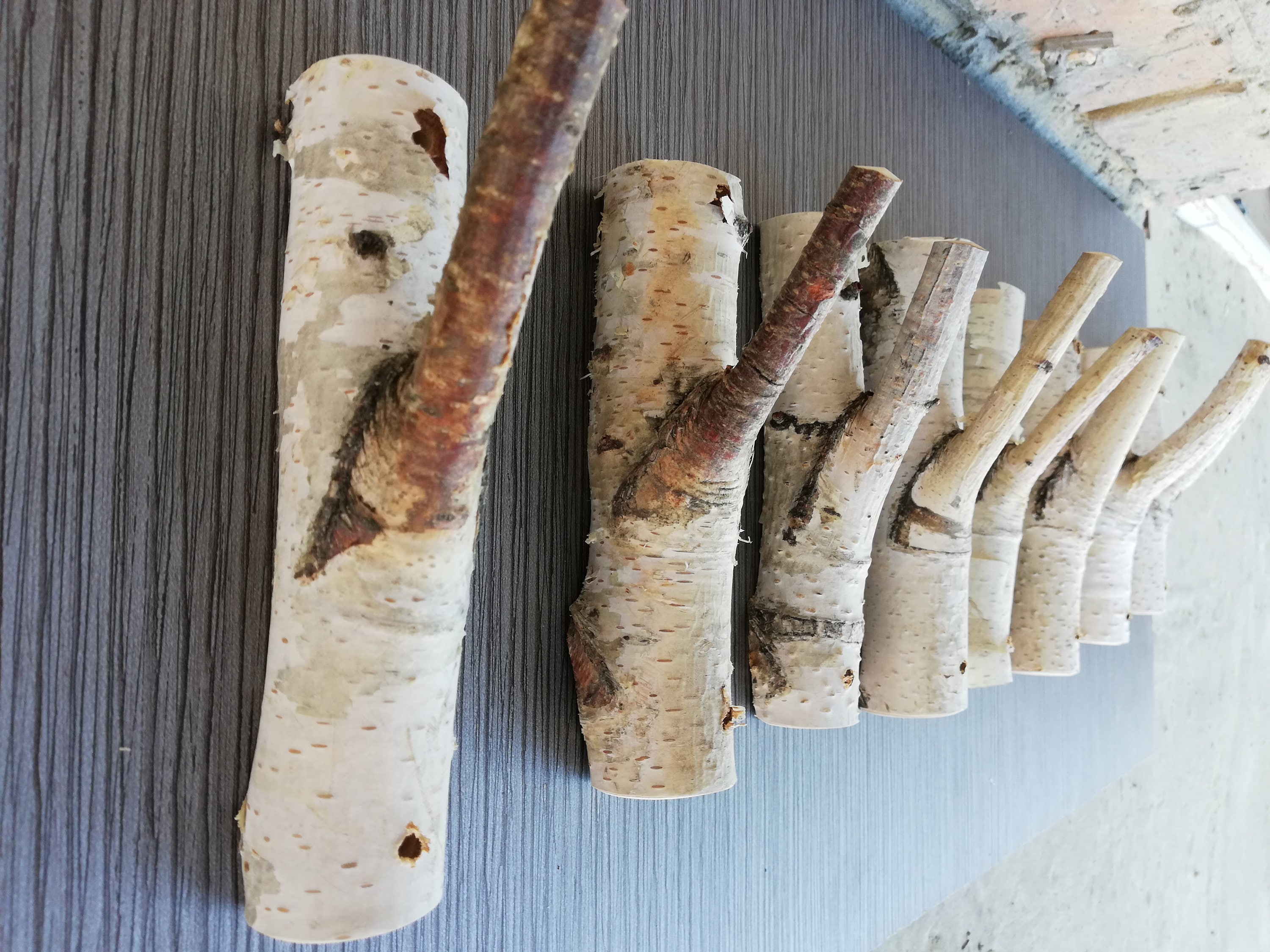 Tree Branch Hooks. Wood Hooks. Birch Hooks. Backpack Coat Hooks. Wall ...