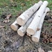 5 Natural Wood Logs. Wooden Logs. Logs. Craft Supplies. Wood Log ...