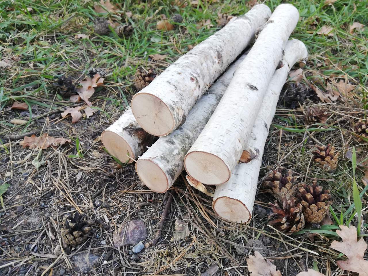 5 Natural Wood Logs. Wooden Logs. Logs. Craft Supplies. Wood | Etsy ...