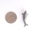 Tiny Dolphin Figurine Soft Plastic Animal for Diorama or Aquarium ...
