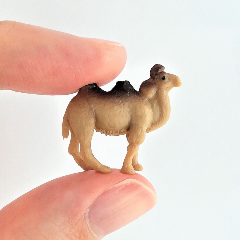 Miniature Camel - Etsy