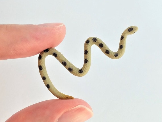 Smallest Snake In The World