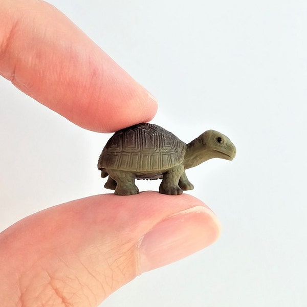 Miniature Turtle - Etsy