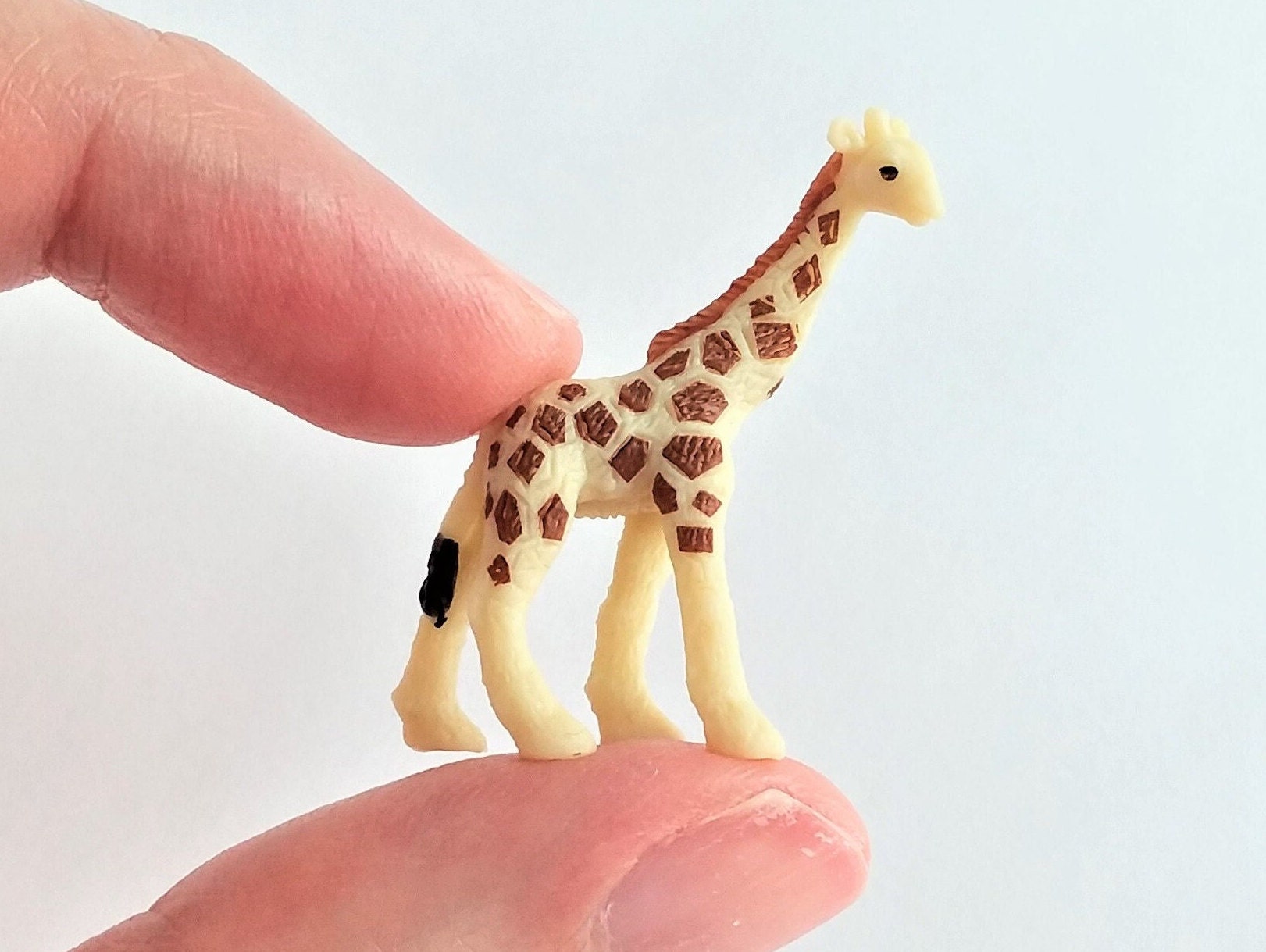 Real Miniature Giraffe
