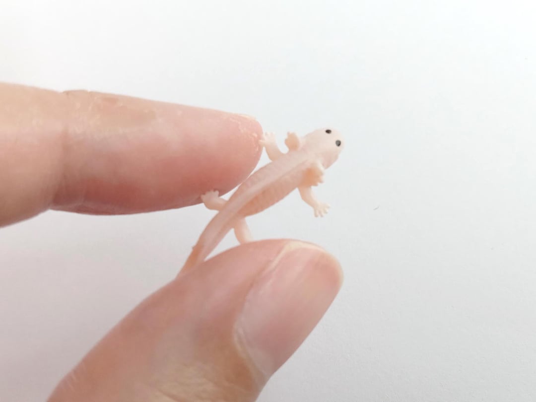 Tiny Axolotl Figurine - Soft Plastic Animal for Fairy Garden, Diorama ...