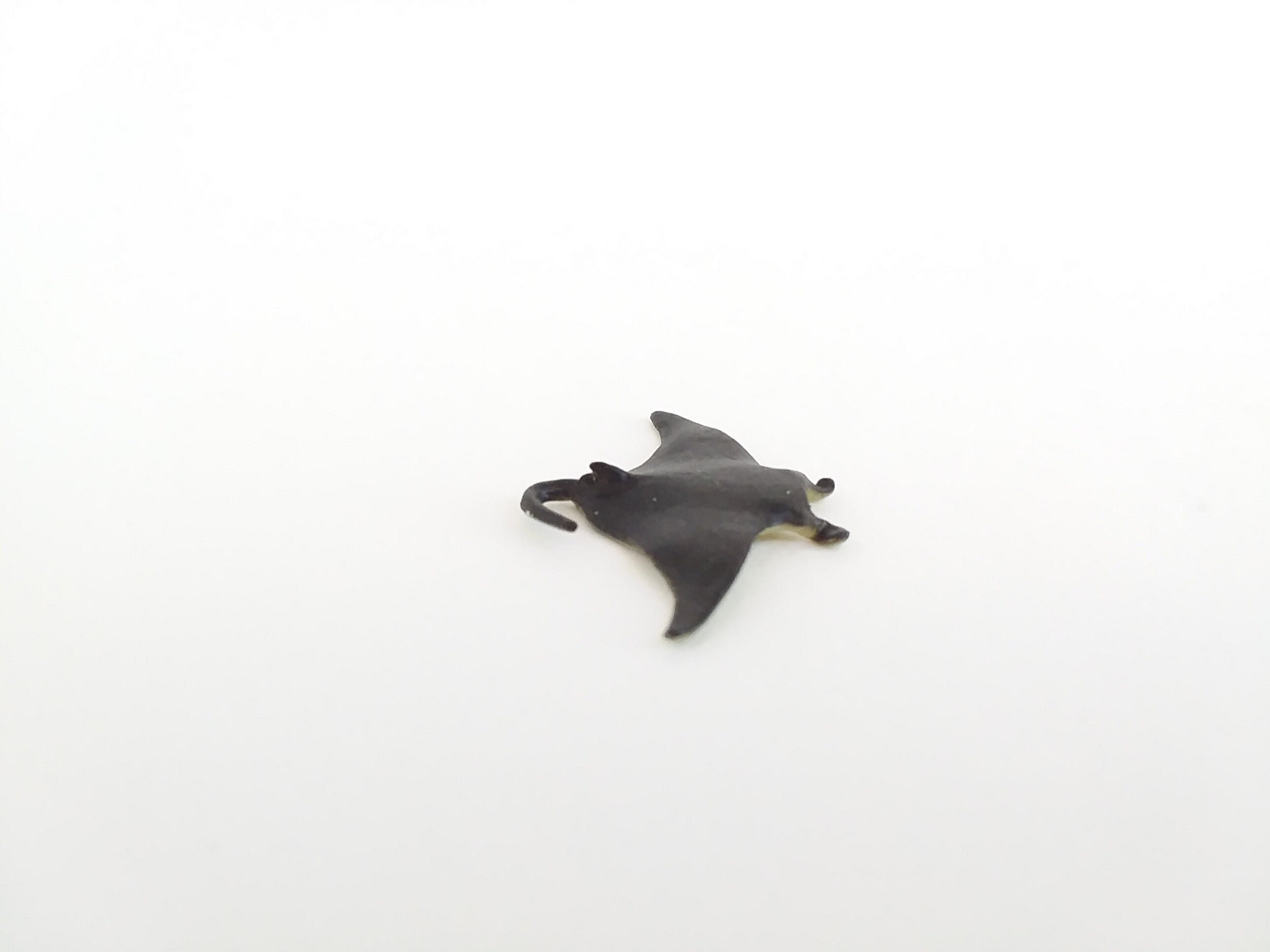 Tiny Manta Ray Figurine - Soft Plastic Stingray for Diorama or Aquarium ...