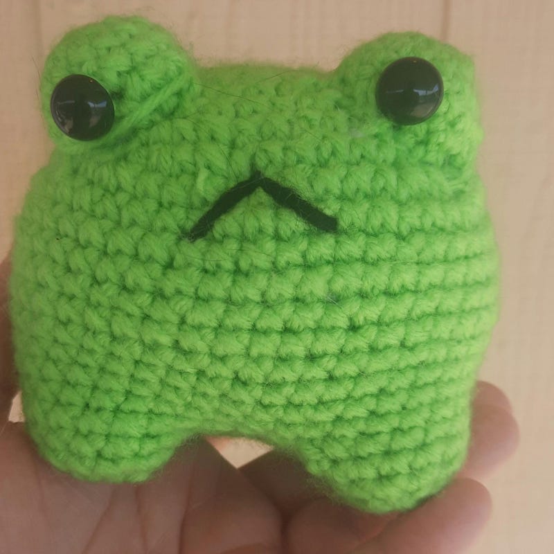 Rain Frog Plush - Etsy