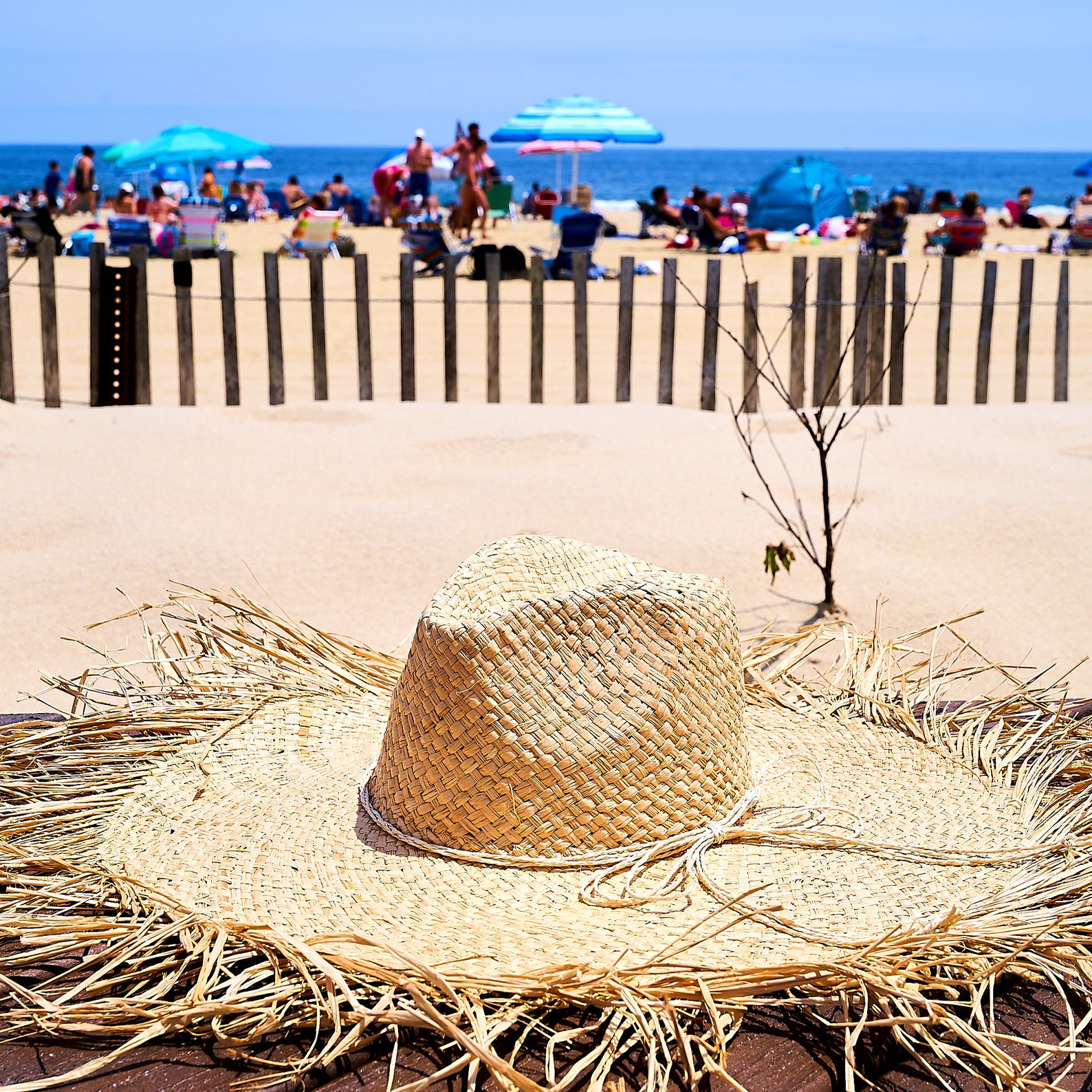 Wide Brim Fringe Raffia Fedora Beach Hat for Woman Natural - Etsy