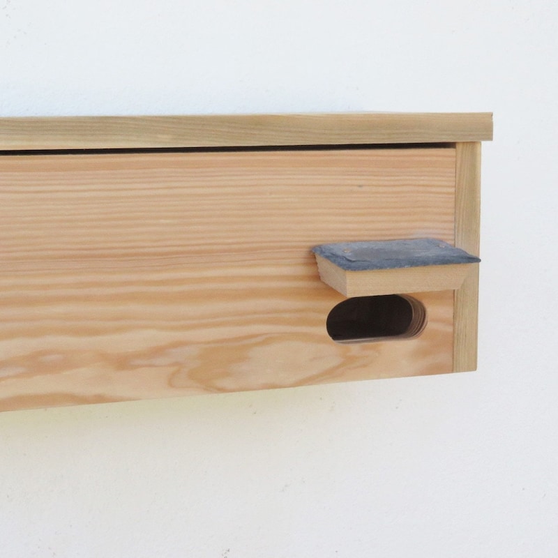 Swifts Bird Gifts - 60+ Gift Ideas for 2026