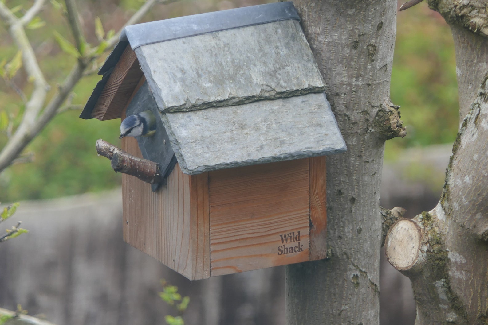 Bird House Nest Box With Welsh Slate Roof Blue Tit Box 25mm Entrance ...