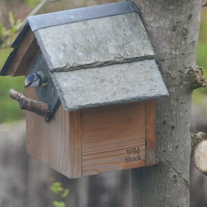 Bird House Nest Box With Welsh Slate Roof Blue Tit Box 25mm Entrance ...