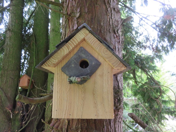 Bird House Nest box with Welsh Slate roof Blue Tit box | Etsy