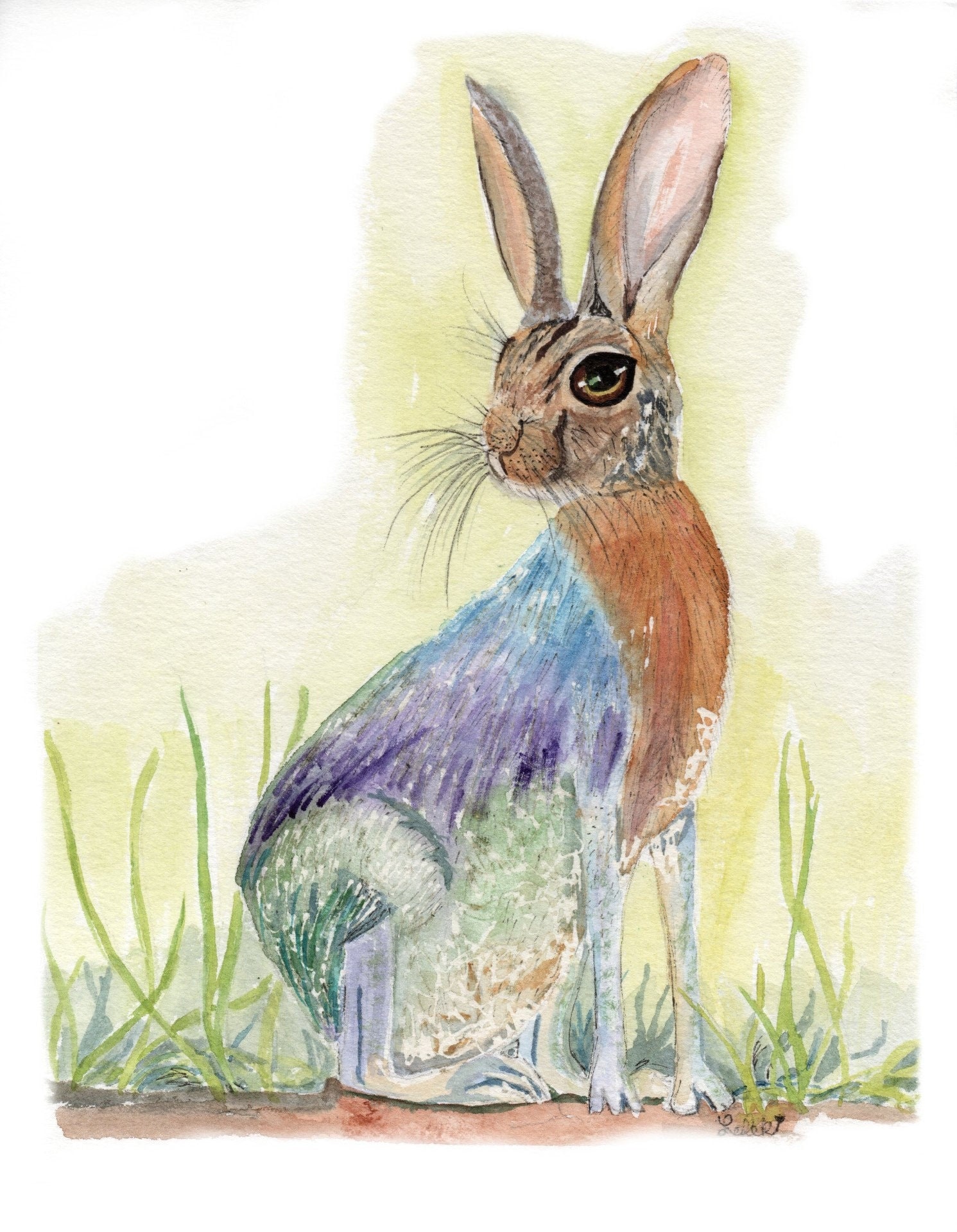 Texas Jack Rabbit - Etsy