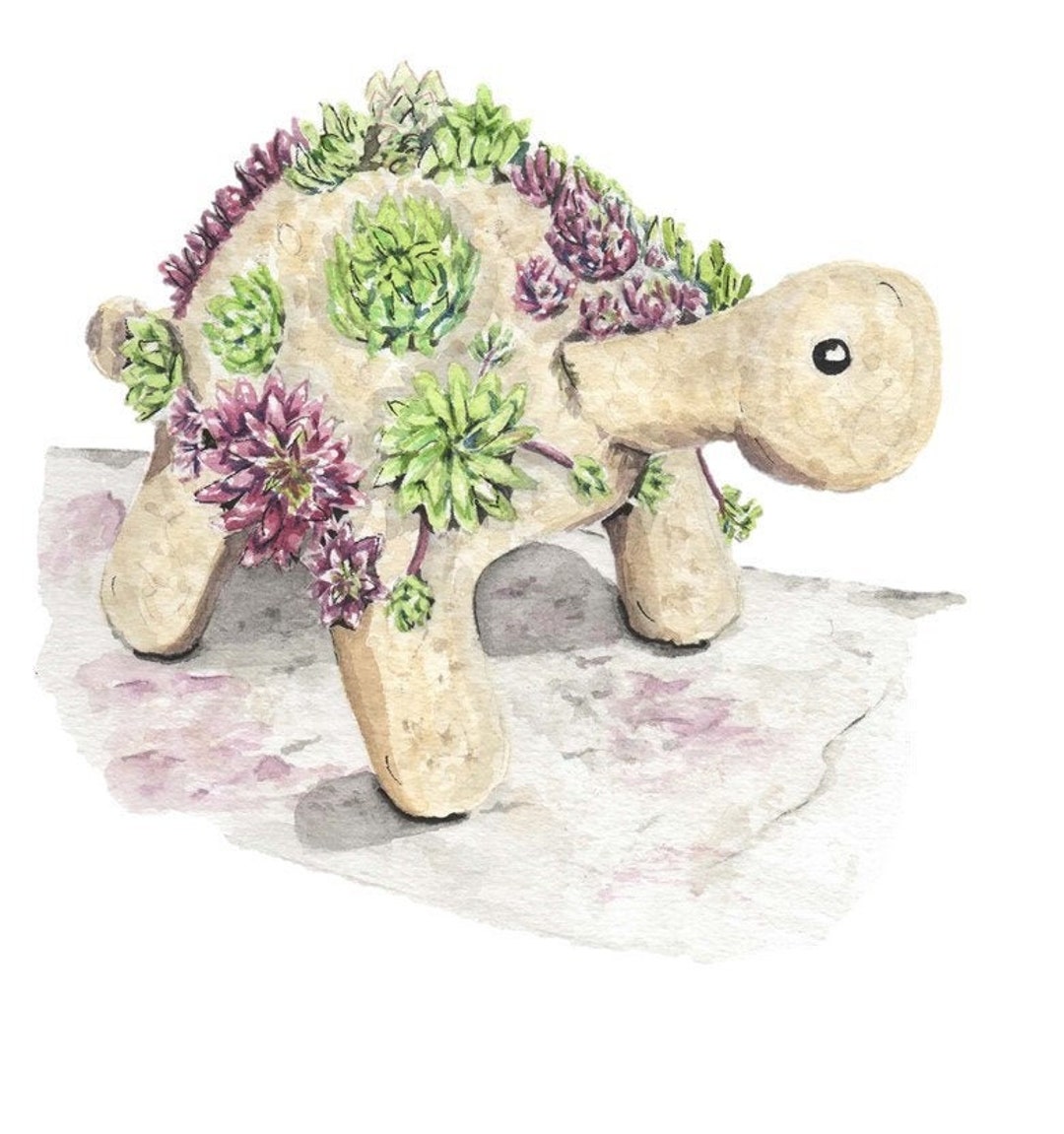 Succulent Turtle - Etsy