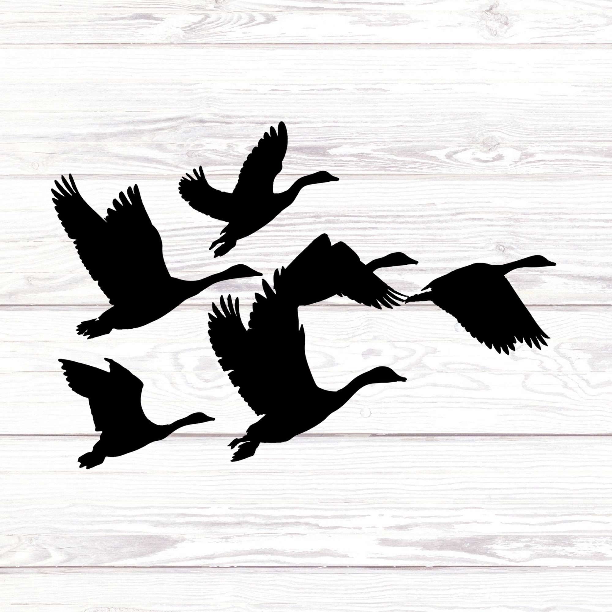 Geese Landing Decals