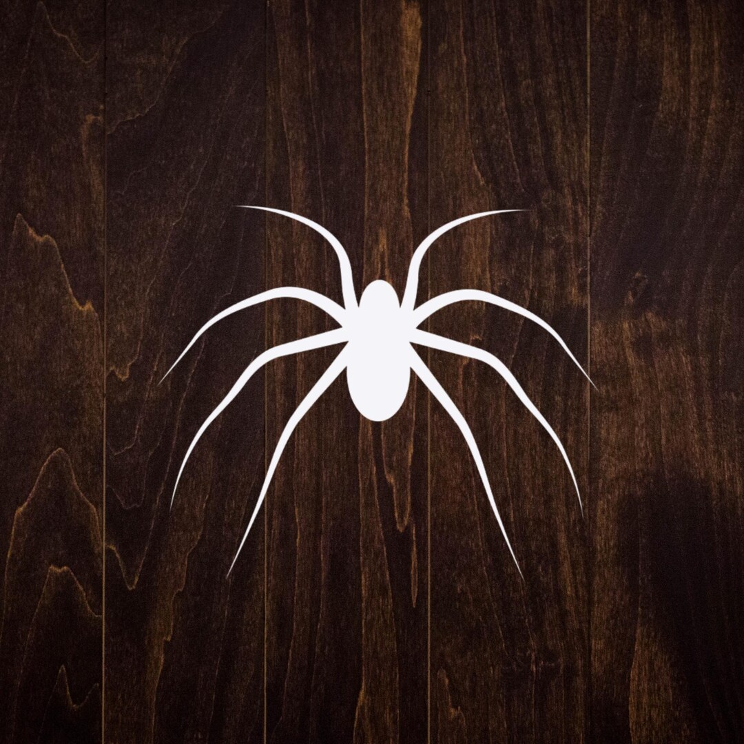 Spider Decal, Spider Vinyl Sticker, Car Window Decal, Vinyl Decal ...