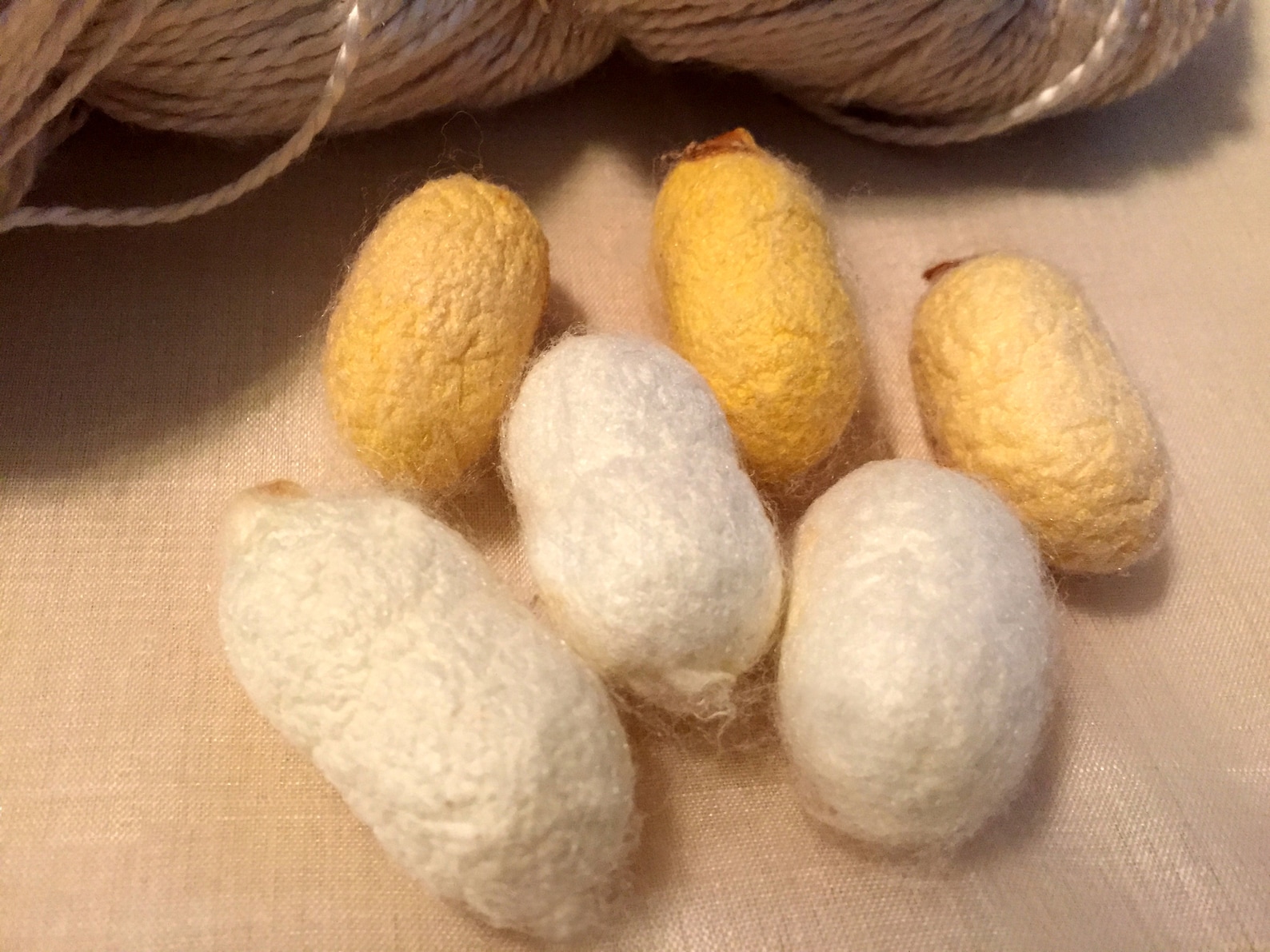 Peace Silk Cocoons | Raw Silk Fiber | Hand Raised Cocoons | Silkworm ...