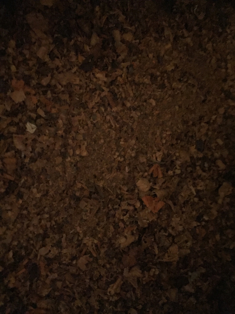 Logwood Shavings 4 Oz Logwood Dye Purple Natural Dye - Etsy