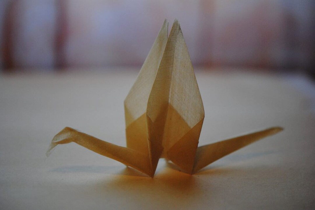 Paper Silk Fabric | Peace Silk Fabric | Tussah Silk Fabric | Wild Silk ...