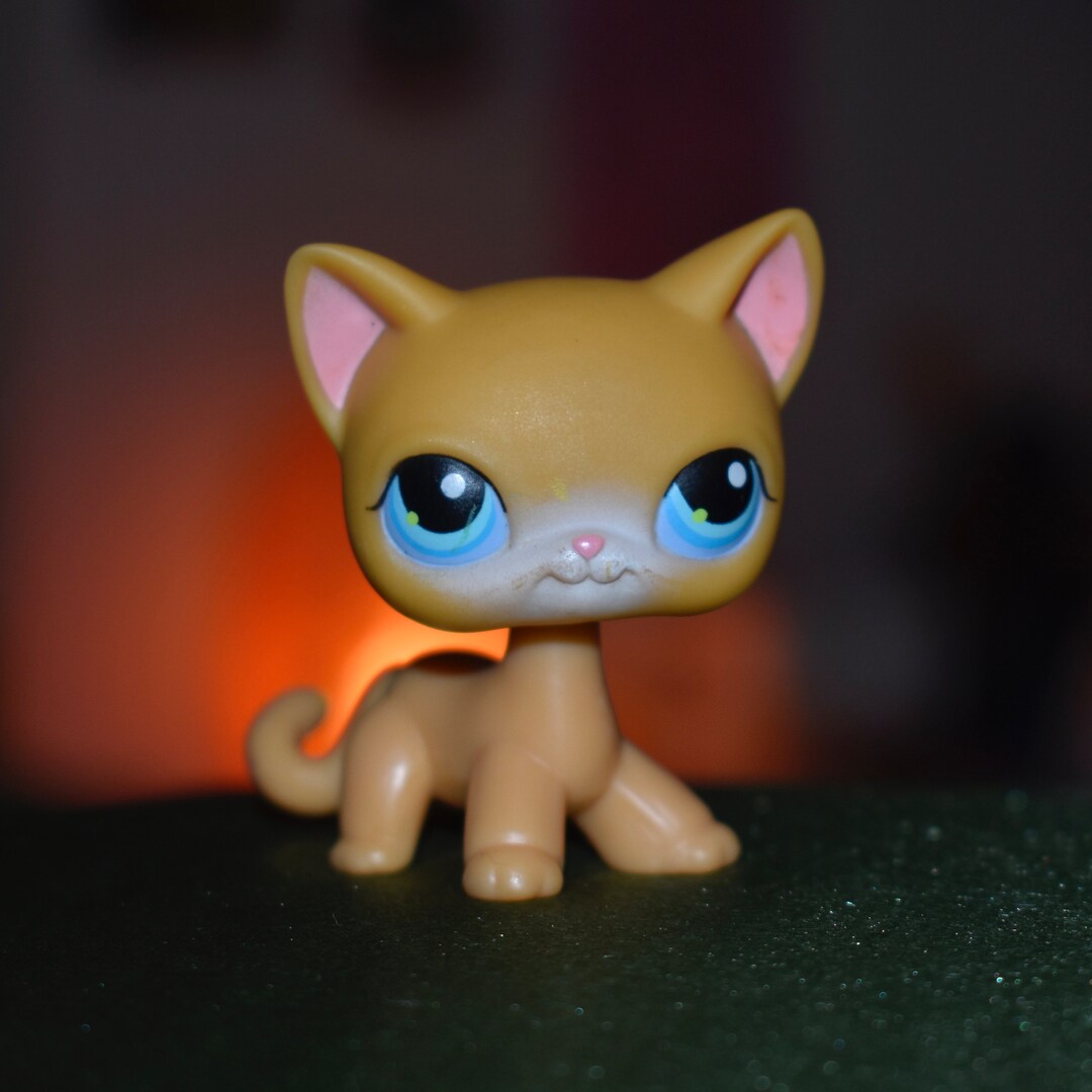 Littlest Pet Shop / Lps #71 Shorthair Cat AUTHENTIC - Etsy