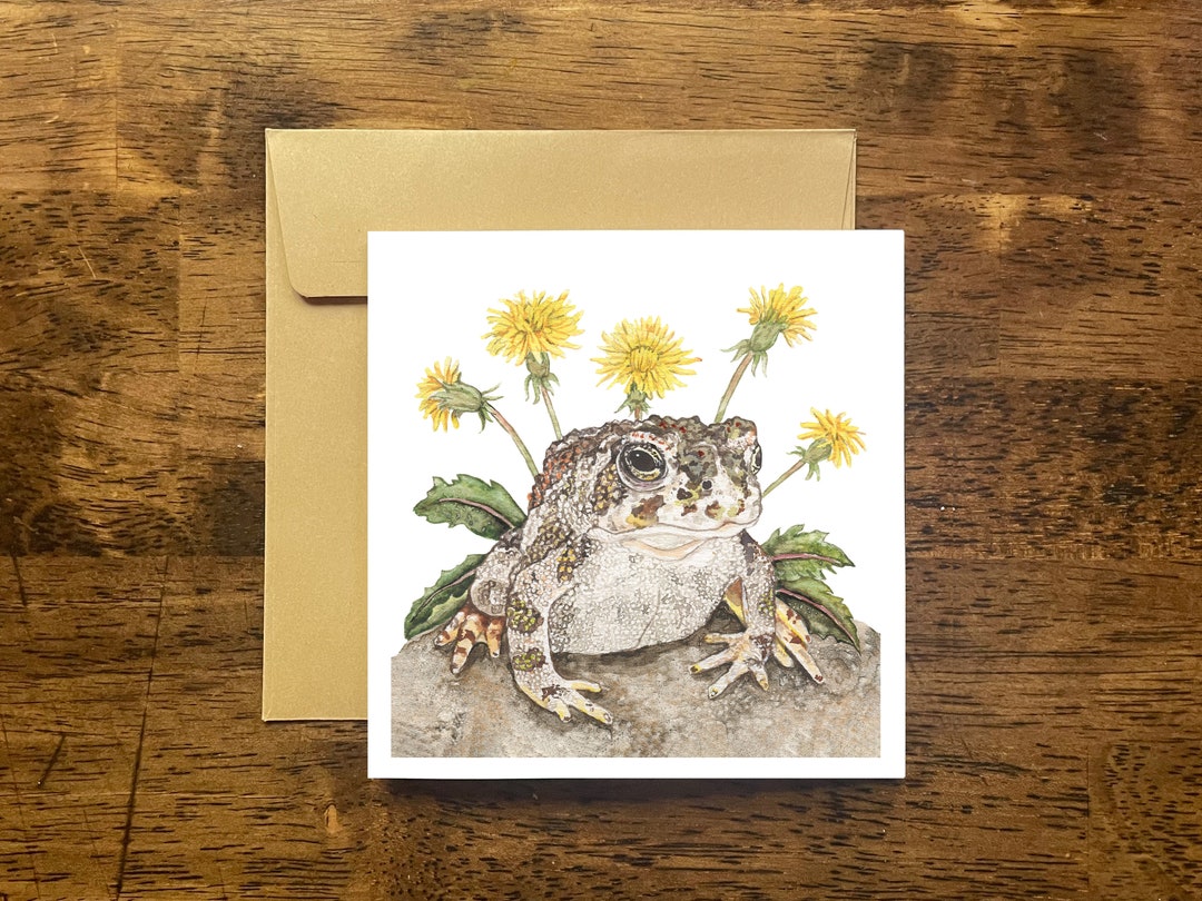 Great Plains Toad Greeting Card, Blank Toad Card, Toad Notecards, Frog ...