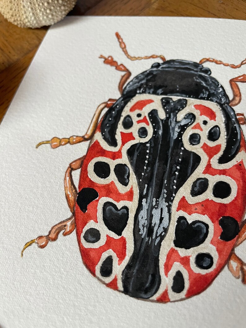 Aquarelle de scarabée calligraphe : art entomologique original 6 x 6 ...